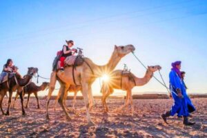 Atlas mountains, 3 valleys & agafay desert from marrakech daytour who will appreciate this tour?