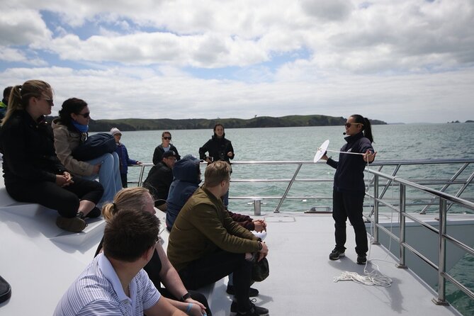 Auckland dolphin and whale watching eco safari cruise what to expect on the cruise