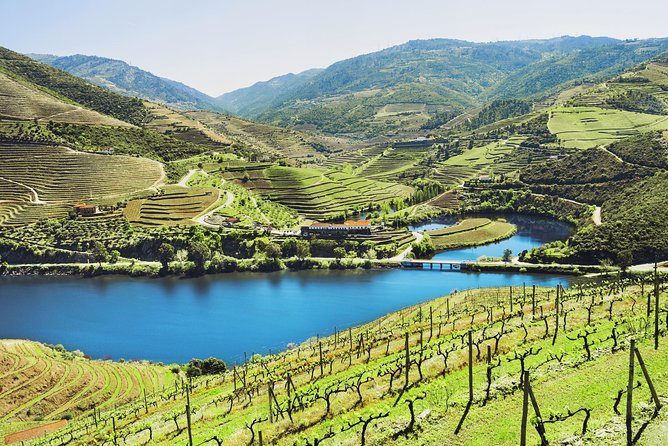 Authentic small group douro wine tour with lunch & river cruise what travelers are saying (based on reviews)