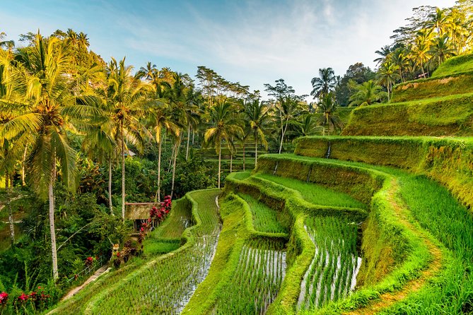 Bali private car hire with driver final thoughts