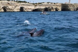 Benagil caves tour from portimao who will love this tour?