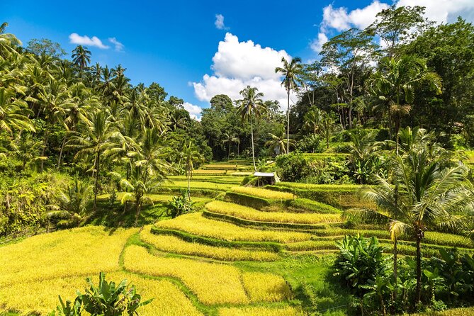 Best of ubud 1 day private tour faq