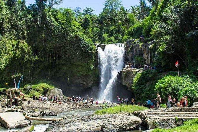 Best of ubud private day tour what to expect at each stop