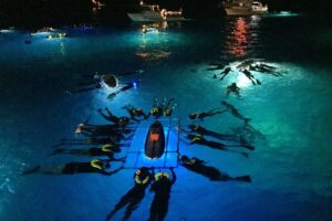 Big island manta ray night snorkel what the itinerary looks like