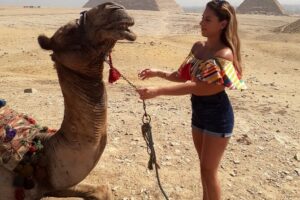 Cairo 8 hour private tour of pyramids, egyptian museum and bazaar the egyptian museum: a treasure trove of artifacts