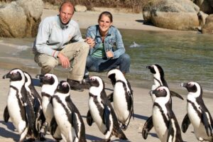 Cape of good hope & penguins small group tour from cape town the practical side: transportation, price, and accessibility