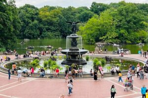 Central park pedicab guided tours the experience of a pedicab tour