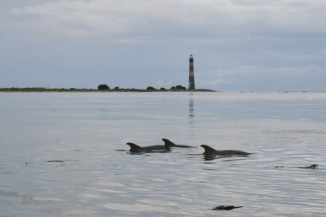 Charleston eco boat cruise with stop at morris island lighthouse the detailed itinerary: what can you expect?