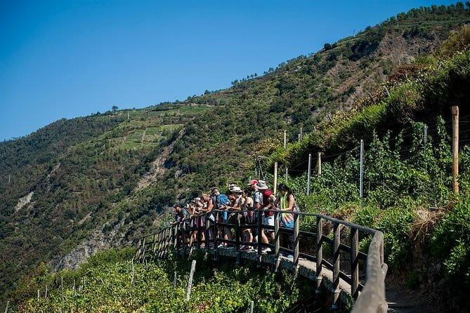 Cinque terre day trip from florence with optional hiking what do travelers say?