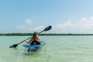 Clear kayak tour of shell key preserve and tampa bay area the itinerary: a closer look