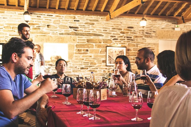 Complete douro valley wine tour with lunch, wine tastings and river cruise getting the most out of the douro valley tour