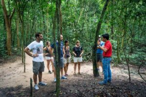 Cu chi tunnels half day tour: vietnam war underground network the experience in context