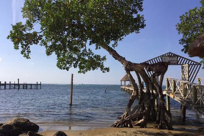 Customizable best of roatan island tour in honduras authentic experiences and authentic guides