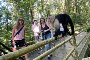 Customizable guided tour of manuel antonio national park what about the downsides?