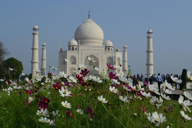 Delhi to agra and taj mahal private day trip by express train with lunch why this tour works
