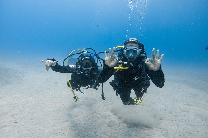 Discover the underwater world of Lanzarote - What Past Participants Say