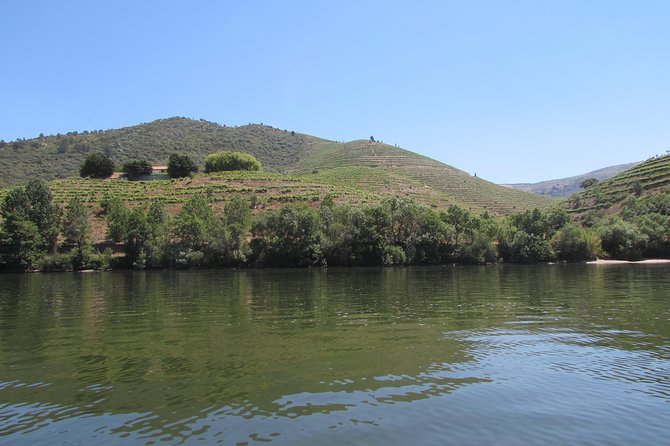 Douro valley tour: 2 vineyard visits, river cruise, winery lunch scenic drive along the national road 222