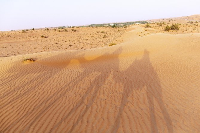 Dubai camel desert safari, traditional meal & heritage activities why this tour stands out
