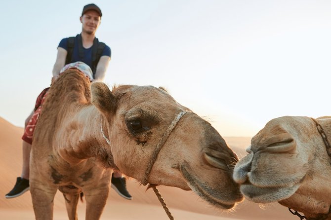 Dubai desert bespoke: red dunes safari, camel ride & bbq options practical details