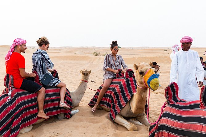 Dubai desert safari with quads, bbq dinner, camel ride, & shows the bottom line: who should consider this tour?