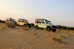 Dubai evening heritage safari by vintage g class al marmoom oasis what makes this tour a great choice