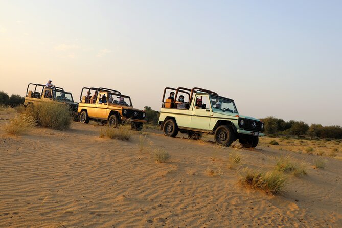 Dubai evening heritage safari by vintage g class al marmoom oasis what makes this tour a great choice
