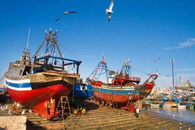Essaouira day trip from marrakech authentic experiences and real traveler feedback