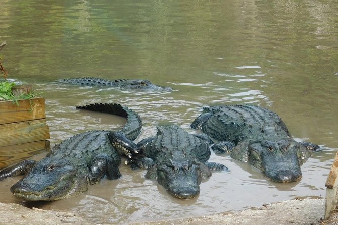 Florida everglades airboat tour and wild florida admission with optional lunch faq