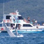 Freedom 3/4 day hervey bay premium whale watching cruise what could be better?