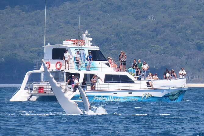 Freedom 3/4 day hervey bay premium whale watching cruise what could be better?