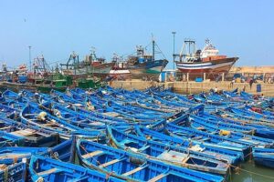 From marrakech to essaouira mogador full day trip | small group the value proposition