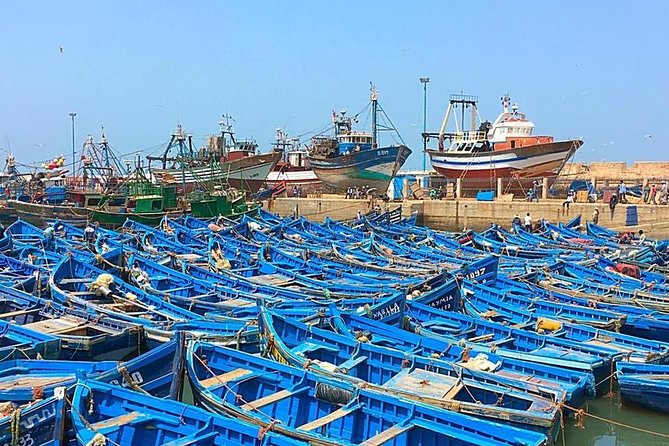 From marrakech to essaouira mogador full day trip | small group the value proposition