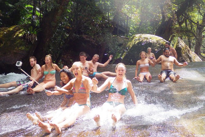 Fun, falls and forests day trip from cairns the itinerary: crammed with highlights