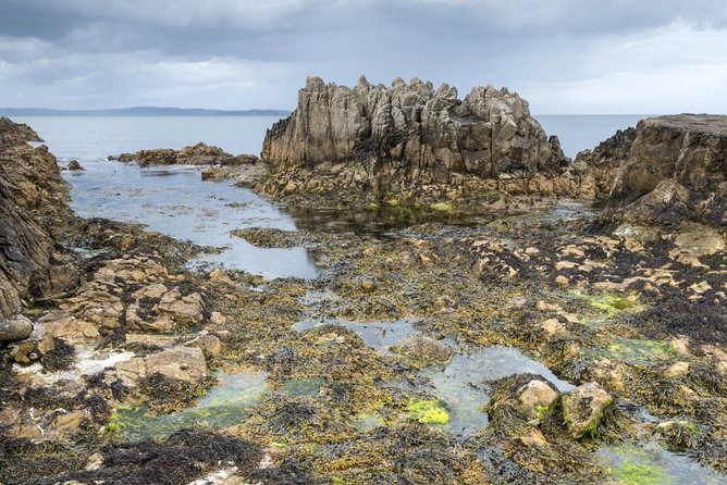 Game of thrones and giant's causeway full day tour from belfast what you can expect: a full breakdown of the day