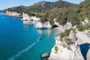 Glass bottom boat whitianga cathedral cove cruise what to expect on the day