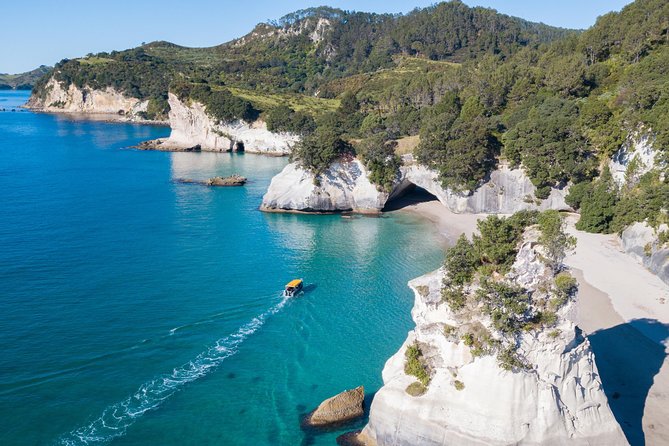 Glass bottom boat whitianga cathedral cove cruise what to expect on the day
