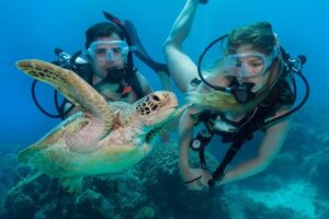 Great barrier reef full day tour from cairns final thoughts