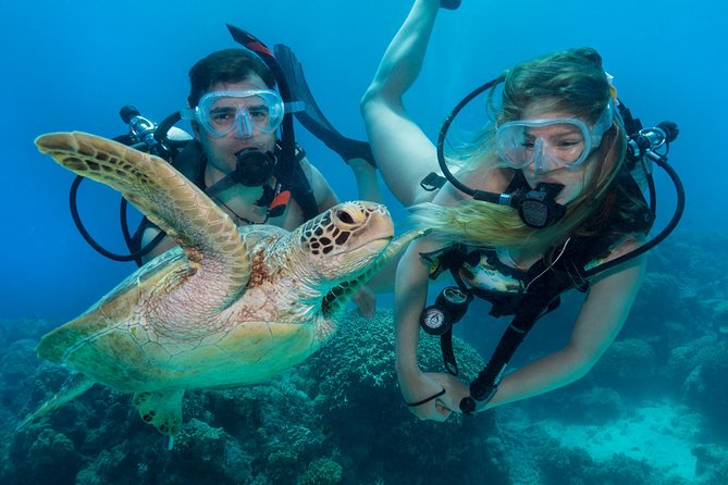 Great barrier reef full day tour from cairns final thoughts