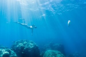 Great barrier reef snorkeling and diving cruise from cairns the itinerary: what to expect on the day