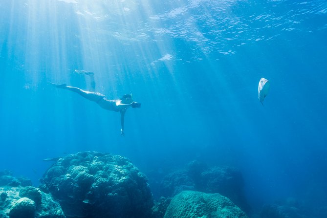 Great barrier reef snorkeling and diving cruise from cairns the itinerary: what to expect on the day
