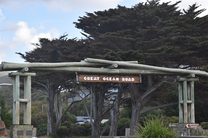 Great ocean road tour plus koalas, forest walk and morning tea how is the value?