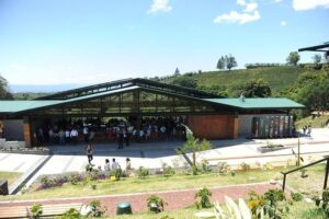 Hacienda alsacia starbucks coffe tour faq: your questions answered