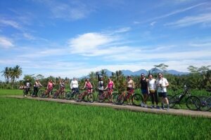 Half day electric cycling tour of ubud how the itinerary unfolds