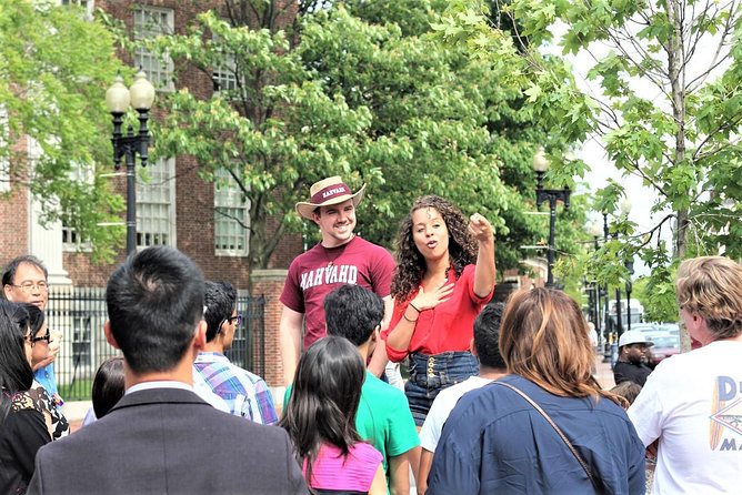 Harvard university campus guided walking tour an in depth look at the tour experience