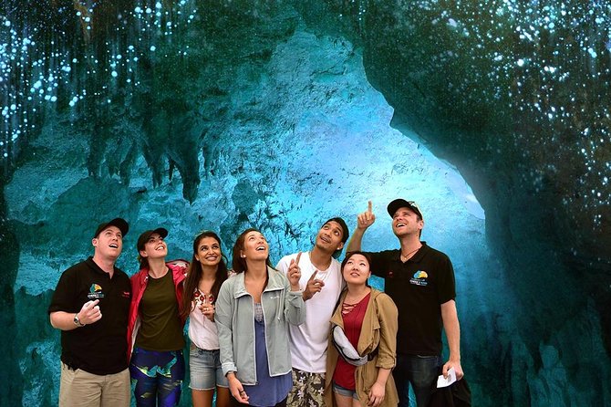 Hobbiton & waitomo caves small group tour from auckland authentic experiences and what travelers say