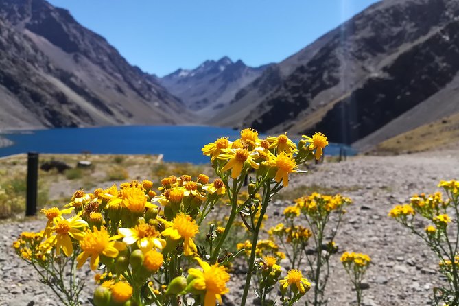 Inca lagoon in andes mountain range visit local vineyard with tasting included visiting in situ family vineyards