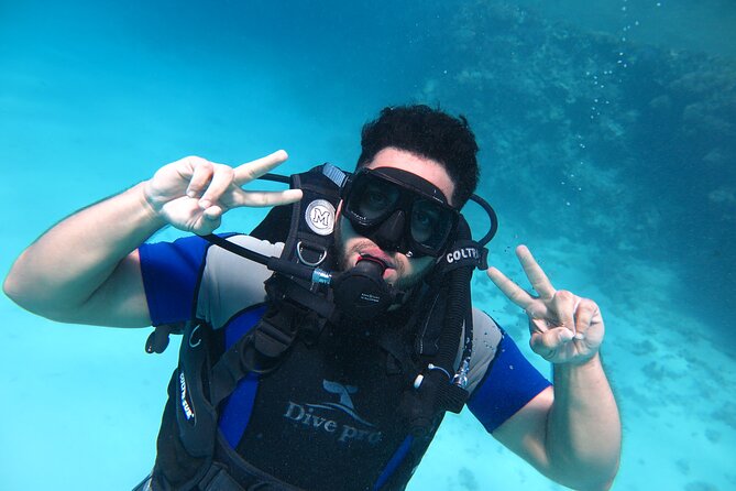 Intro diving 2 stops for beginners with pick up and lunch hurghada the dives and marine environment