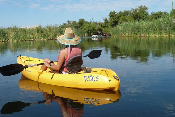 Kayaking the salt river foxtail trip the details: from booking to return