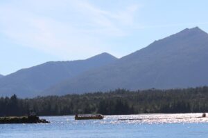 Ketchikan duck tour practical details & traveler tips