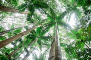 K'gari (fraser island) explorer 2 day tour what it feels like to be on the tour